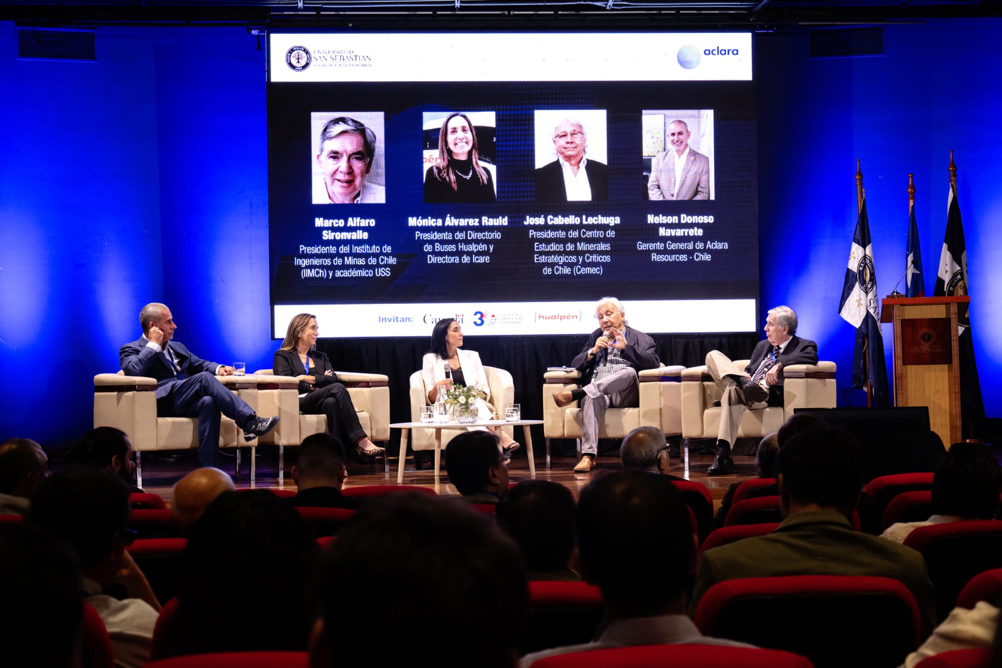 ANALIZAN POTENCIAL ESTRATÉGICO DE LA TIERRAS RARAS EN CHILE | Revista ...